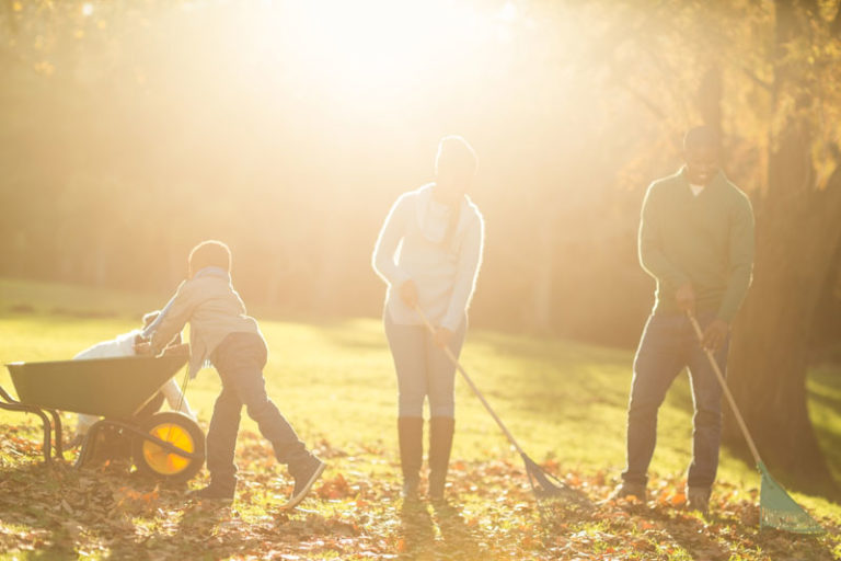 Comment ramasser les feuilles mortes sans se faire mal au dos