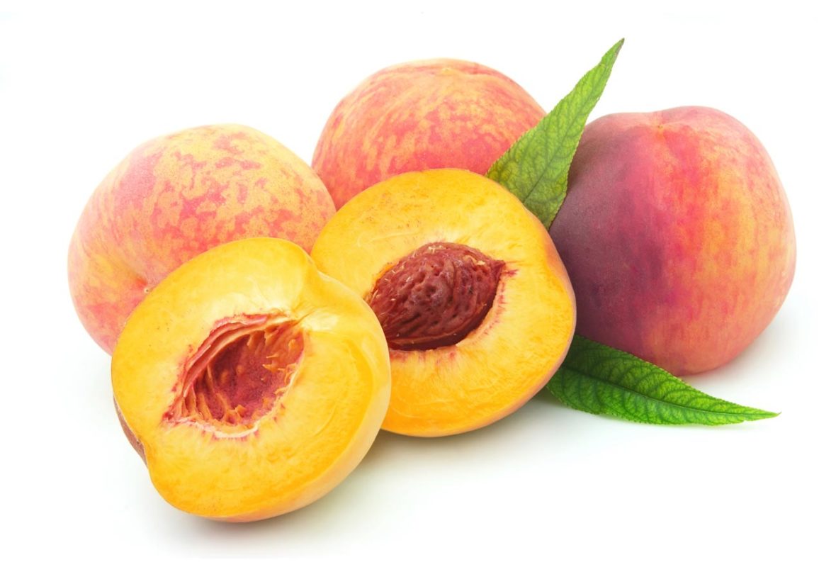 Le pêcher : mieux connaitre cet un arbre fruitier pour votre jardin