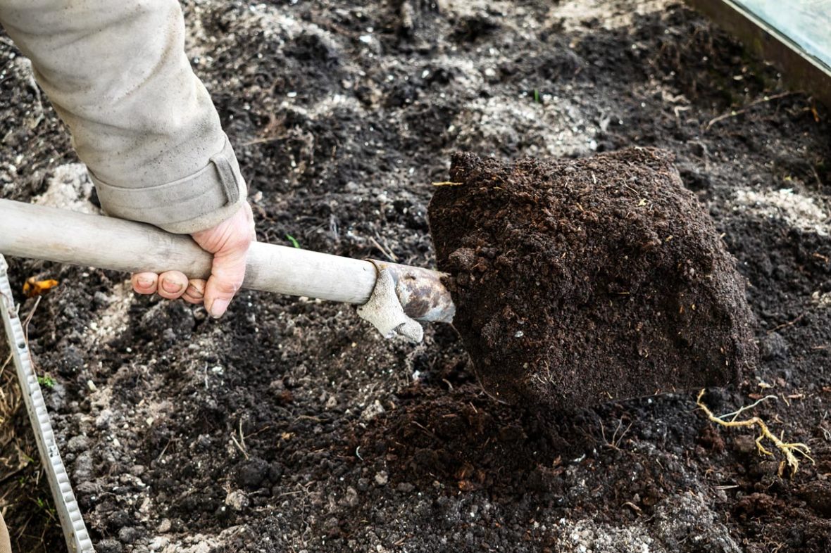 Comment utiliser les cendres de la cheminée dans le potager Comment utiliser les cendres de la cheminée dans le potager