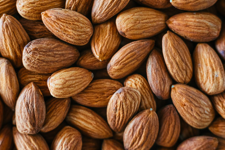 L'amandier (prunus dulcis) : tout savoir sur cet arbre fruiter