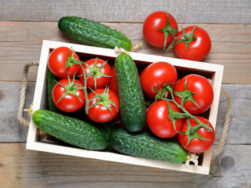 Concombre et tomate au potager, faut-il les planter ensemble